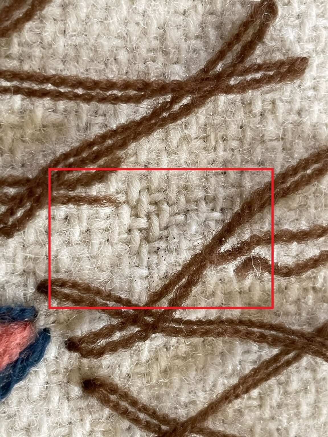 Woman vs. Moth – Dumbarton House